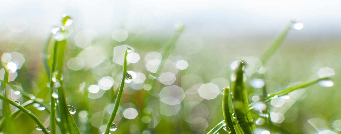 Cubic Yard Boxes, Collapsible Containers, Bulk Packaging, Wrangler ...